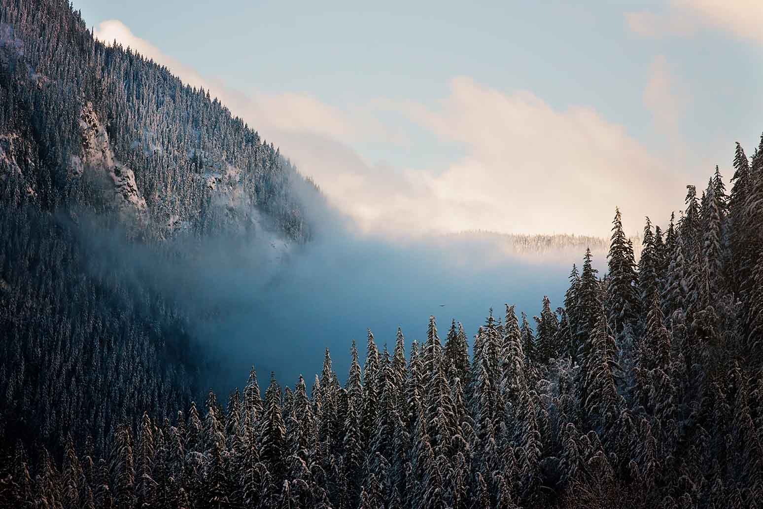 Roy Millen, Vancouver | Blakes