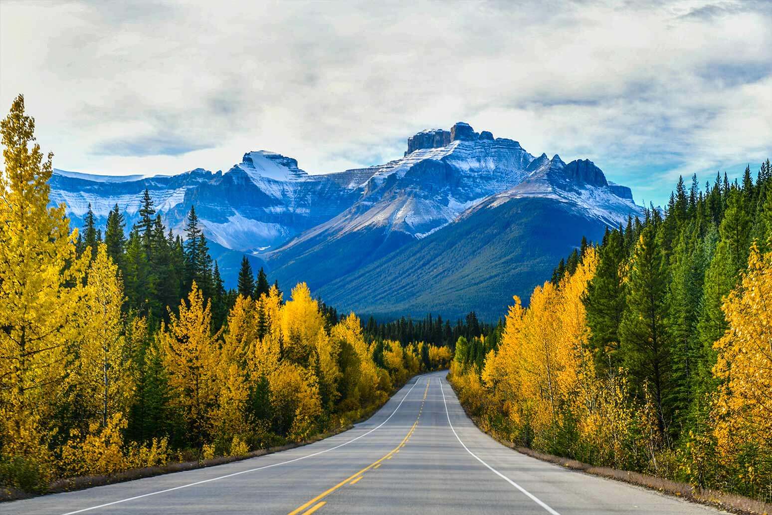 Alberta Court of Appeal Upholds Quashing of Ministerial Decision Under ... Alberta Court of Appeal Upholds Quashing of Ministerial Decision Under ...