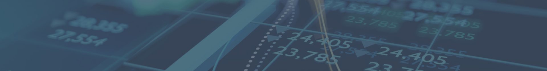 Securities Litigation | Blakes