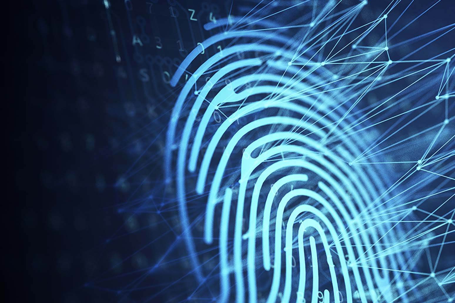 Cybersecurity Litigation: Five Trends Unpacked | Blakes